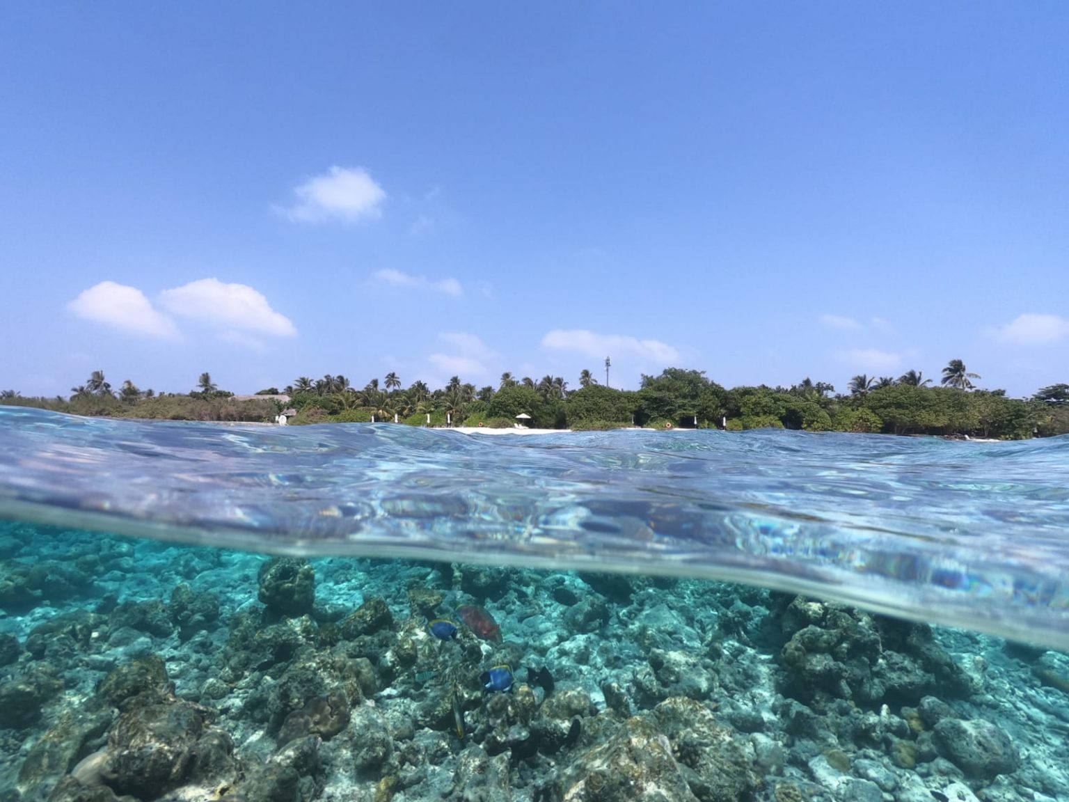 Snorkeling ed immersioni alle Maldive; recensione del Resort italiano ...